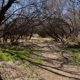Black Hawk Trail Loop, Arizona - 190 Reviews, Map | AllTrails