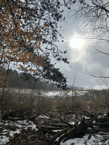 Best Hikes and Trails in Maplehurst Natural Area | AllTrails