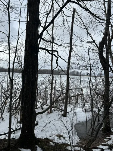 Best Hikes and Trails in Maplehurst Natural Area | AllTrails