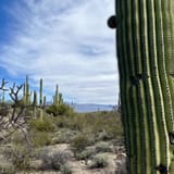 Greasewood Park, Arizona - 209 Reviews, Map | AllTrails