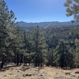 Benjamin Loop, Colorado - 392 Reviews, Map | AllTrails