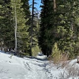 Herman Gulch Trail, Colorado - 7,688 Reviews, Map | AllTrails