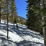 Herman Gulch Trail, Colorado - 7,688 Reviews, Map | AllTrails