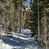 Herman Gulch Trail, Colorado - 7,706 Reviews, Map | AllTrails
