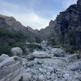 Pima Canyon Trail, Arizona - 2,494 Reviews, Map | AllTrails
