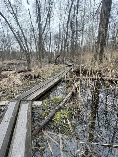 Best Hikes and Trails in Closter Nature Center | AllTrails