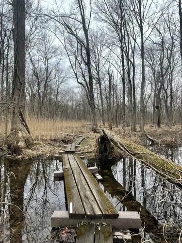 Best Hikes and Trails in Closter Nature Center | AllTrails