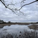 Maurice River Bluffs Trail , New Jersey - 1,135 Reviews, Map | AllTrails