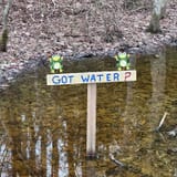 Maurice River Bluffs Trail , New Jersey - 1,135 Reviews, Map | AllTrails