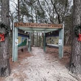 Maurice River Bluffs Trail , New Jersey - 1,135 Reviews, Map | AllTrails