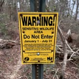 Maurice River Bluffs Trail , New Jersey - 1,135 Reviews, Map | AllTrails