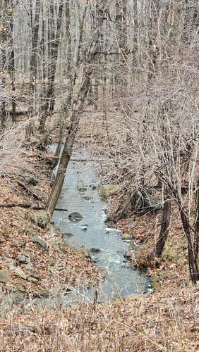 Best Hikes and Trails in Sandy Ridge Reservation | AllTrails