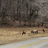 White Bison Loop, Missouri - 2,188 Reviews, Map | AllTrails