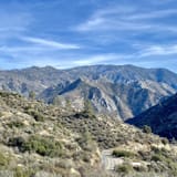 Seven Tea Cups (7TC) via Dry Creek Meadow, California - 229 Reviews ...