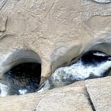 Seven Tea Cups (7TC) via Dry Creek Meadow, California - 229 Reviews ...