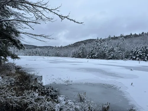 Best Kid Friendly Trails in Epsom | AllTrails