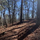 Womble Trail, Arkansas - 36 Reviews, Map | AllTrails