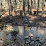 Womble Trail, Arkansas - 36 Reviews, Map | AllTrails