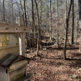 Womble Trail, Arkansas - 36 Reviews, Map | AllTrails