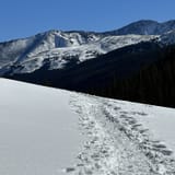 Herman Gulch Trail, Colorado - 7,688 Reviews, Map | AllTrails