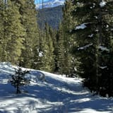 Herman Gulch Trail, Colorado - 7,706 Reviews, Map | AllTrails