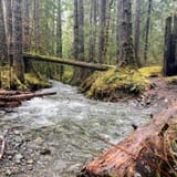 Duckabush River Trail to Five Mile Camp, Washington - 804 Reviews, Map ...