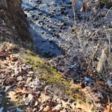 Deer Ridge Park 4K Loop, Missouri - 180 Reviews, Map | AllTrails