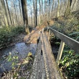 John Rock Trail Loop, North Carolina - 2,106 Reviews, Map | AllTrails