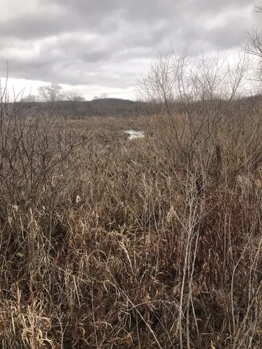 Best Hikes and Trails in Green Bottom Wildlife Management Area | AllTrails