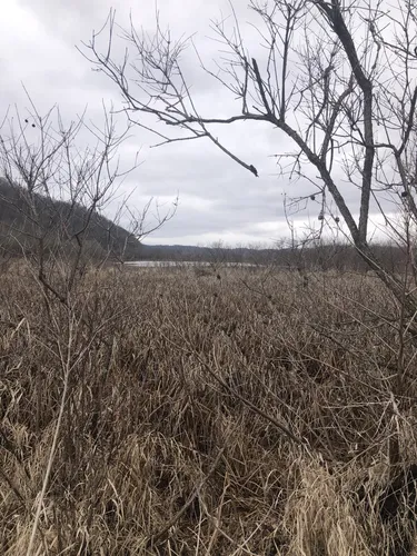 Best Hikes and Trails in Green Bottom Wildlife Management Area | AllTrails