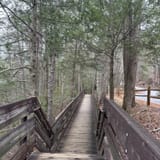 Dukes Creek Trail, Georgia - 2,960 Reviews, Map | AllTrails