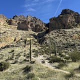 Picketpost Mountain Trail, Arizona - 2,144 Reviews, Map | AllTrails