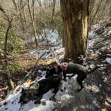 Graybeard Trail, North Carolina - 1,779 Reviews, Map | AllTrails