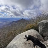 Flat Top Mountain via Flat Top Trail, Virginia - 465 Reviews, Map ...