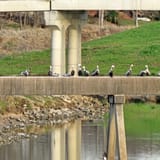 Brays Bayou Hike and Bike Trail, Texas - 209 Reviews, Map | AllTrails