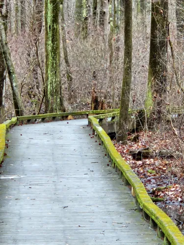 Best Hikes and Trails in Great Swamp National Wildlife Refuge | AllTrails