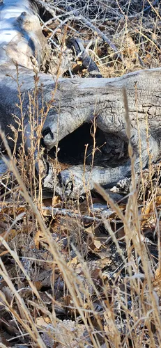 Best Hikes and Trails in Clear Spring Ranch | AllTrails