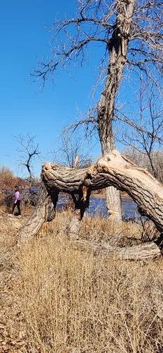 Best Hikes and Trails in Clear Spring Ranch | AllTrails