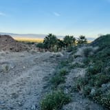 Jack Rabbit Trail, California - 410 Reviews, Map | AllTrails