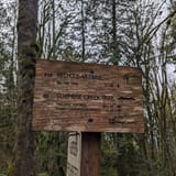 Big Tree Ridge Trail: Short Version, Washington - 295 Reviews, Map ...