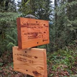 Big Tree Ridge Trail: Short Version, Washington - 295 Reviews, Map ...