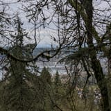 Big Tree Ridge Trail: Short Version, Washington - 295 Reviews, Map ...