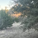 Cibolo Canyons, Texas - 389 Reviews, Map | AllTrails