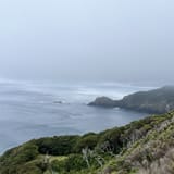 Cape Brett Track, Northland, New Zealand - 227 Reviews, Map | AllTrails