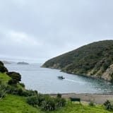 Cape Brett Track, Northland, New Zealand - 227 Reviews, Map | AllTrails