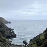 Cape Brett Track, Northland, New Zealand - 227 Reviews, Map | AllTrails