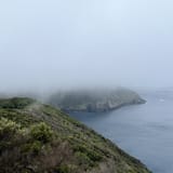 Cape Brett Track, Northland, New Zealand - 227 Reviews, Map | AllTrails