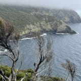 Cape Brett Track, Northland, New Zealand - 227 Reviews, Map | AllTrails