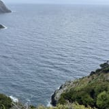 Cape Brett Track, Northland, New Zealand - 227 Reviews, Map | AllTrails