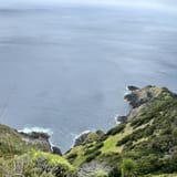Cape Brett Track, Northland, New Zealand - 227 Reviews, Map | AllTrails